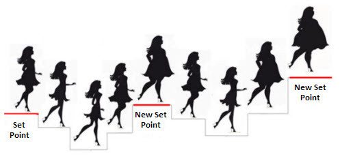 How do you change your body's set point? | Day 28 of 90 - Blogilates