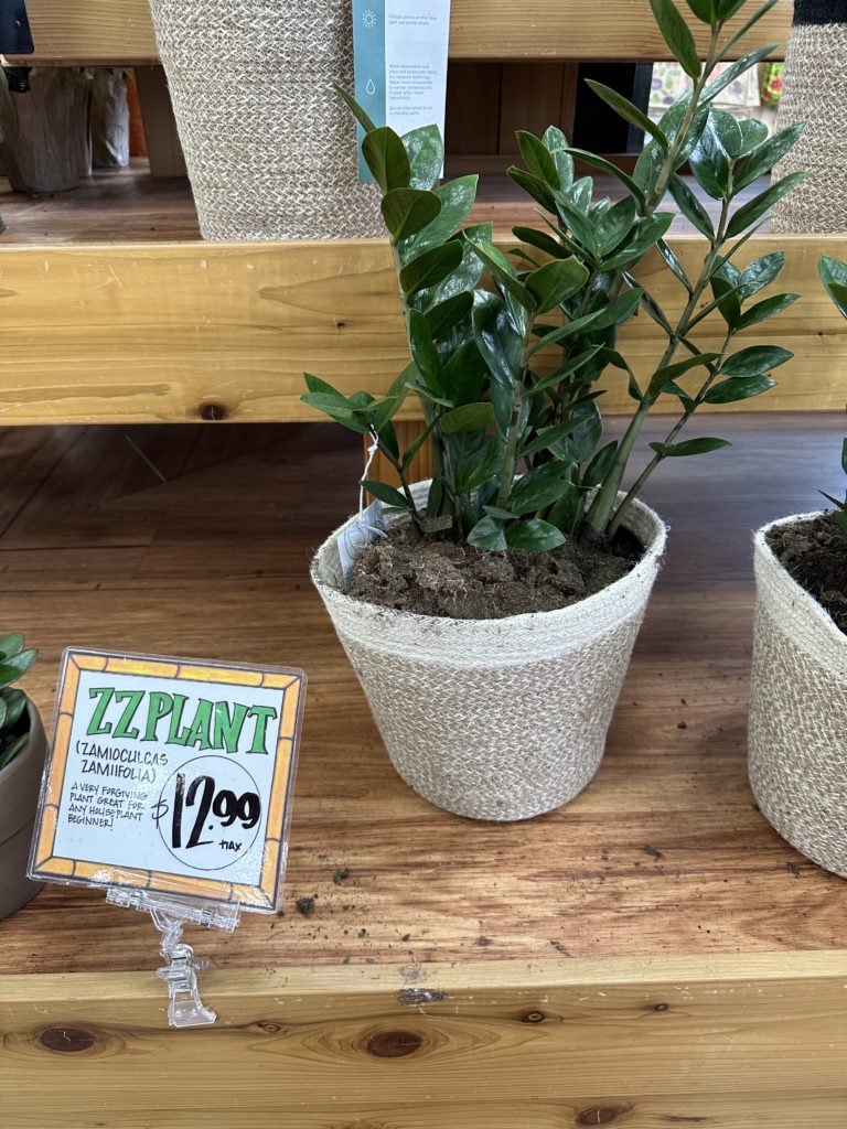 The Best Trader Joe's Gifts to Shop Right Now - Blogilates