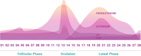 Cycle Syncing: Should You Try It? - Blogilates