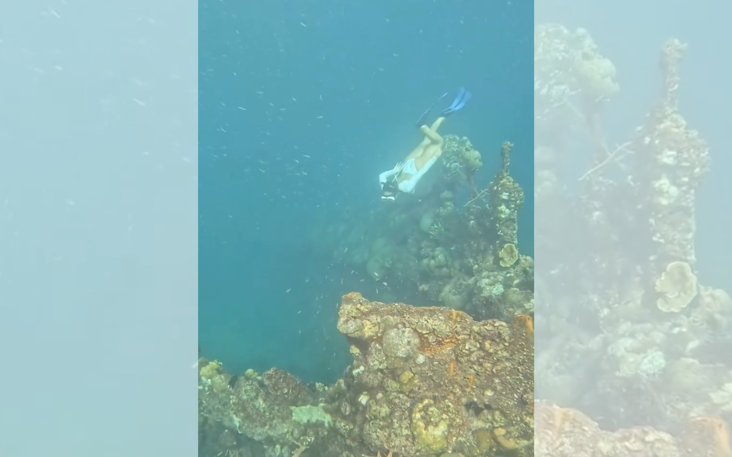 Diving into history (literally) - Blogilates